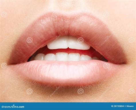 Beautiful Natural Lips Stock Images Image 38720804