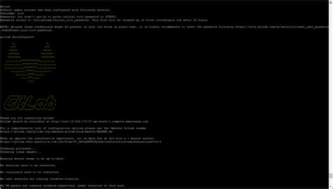 Setting Up Your Own Private Gitlab Platform Nicks Open World