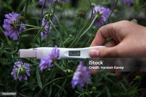 풍부한 녹색 줄기와 밝은 보라색 꽃 중 긍정적 인 임신 테스트를 들고 손 다중 색상에 대한 스톡 사진 및 기타 이미지 다중 색상 임신 테스트 개화기 Istock