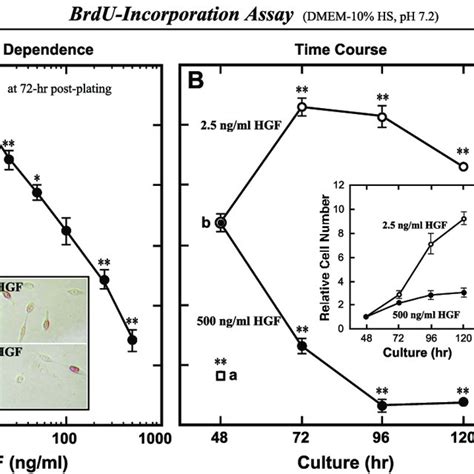 High Concentration Hepatocyte Growth Factor Hgf Treatments Reduce The Download Scientific
