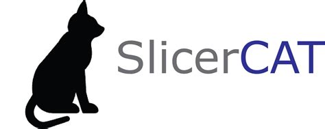Slicercat Creating Custom Applications Based On 3d Slicer