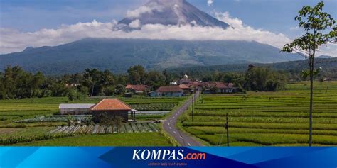 Liputan Khusus Wisata Pronojiwo Lumajang