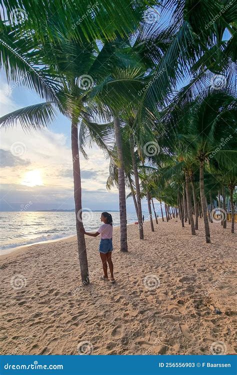 Dongtan Beach Pattaya Jomtien Thailand Palm Trees On The Beach During