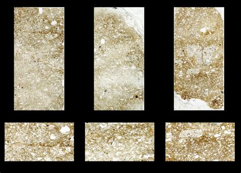 Thin Section Classification Of The Microstructures 1 Sandy Granular Download Scientific