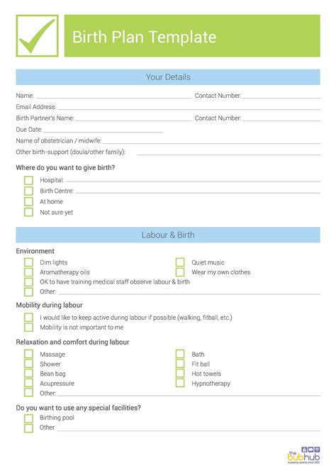 Downloadable Printable Editable Birth Plan Template Printable