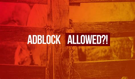 The Only Reason Why I Allow AdBlock Users On Picjumbo Picjumbo Blog