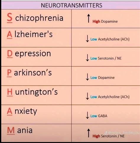 Hima Sree Gannarapu On Linkedin Neurotransmitters