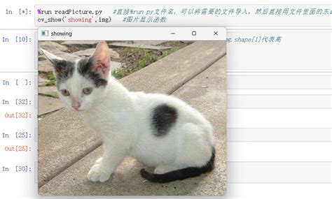 1 opencv python图像读写模块 寒水浮云 博客园