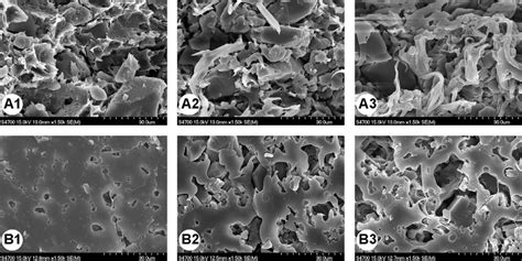 Sem Micrographs Of Membranes Based On Ldpe A Cross Sections B Download Scientific Diagram