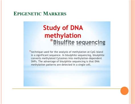 Snp Genotyping Techniques And Epigenetic Markerspptx