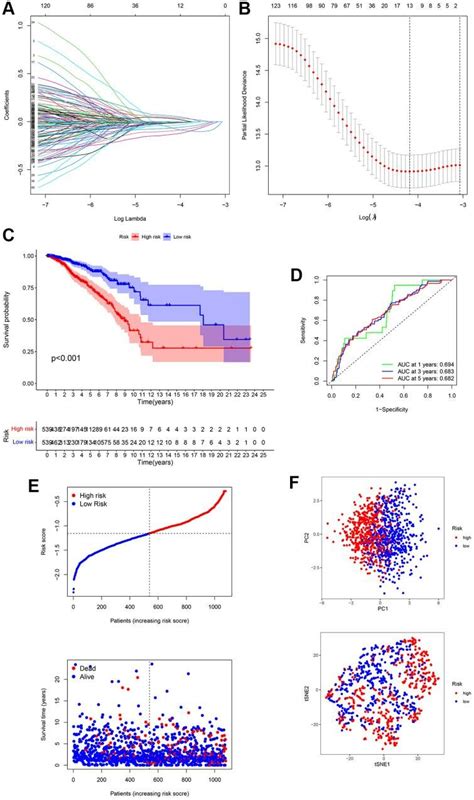 Establishment Of A 13 Gene Signature In Tcga Cohort A Differentially