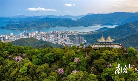 邓飞波：盐田将重点抓好旅游、消费、物流“三件大事”｜深圳高质量发展大会建设中心