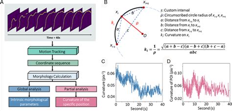 A Image Analysis Conducted By Motion Tracking And Morphology