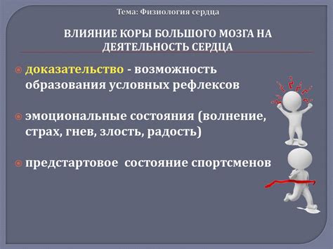 Физиология сердца - презентация онлайн