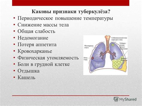 Презентация на тему Классный час лекция «Этот страшный недуг