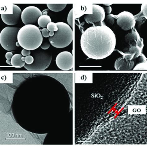 Sem Image Of A Raw Sio 2 B Created Sio 2 Go Hybrid Tem Of C
