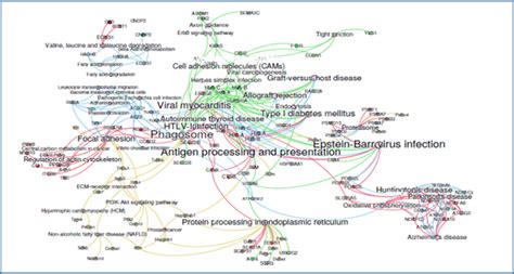 Using Single Nucleotide Variations In Single Cell RNA Seq To Identify Tumor Subpopulations And