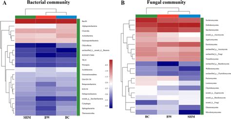 Heatmap Of Abundant Bacterial A And Fungal B At The Class Level In