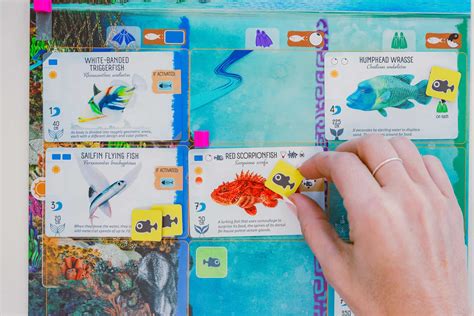 Stonemaier Games Announces Finspan A New Spin On Wingspan Tgn