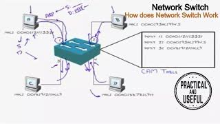Switch Network