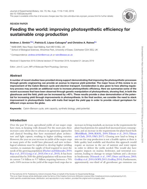 Pdf Feeding The World Improving Photosynthetic Efficiency For