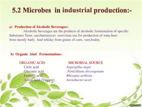 Unit 5 Weightage 0305 Microbes In Human Welfare Ppt Download