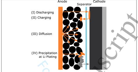 Illustration Of Possible Pathways Of Cu Ions Duringafter Download