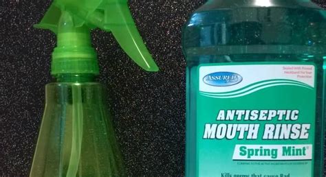 How To Get Rid Of Cat Urine Smell The Housing Forum