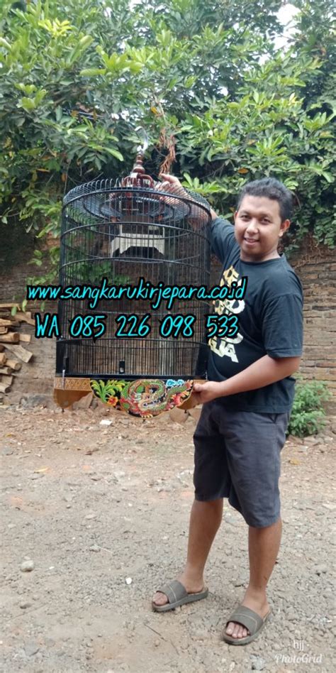 Jual Sangkar Murai Ukir Naga SANGKAR BURUNG SHOP