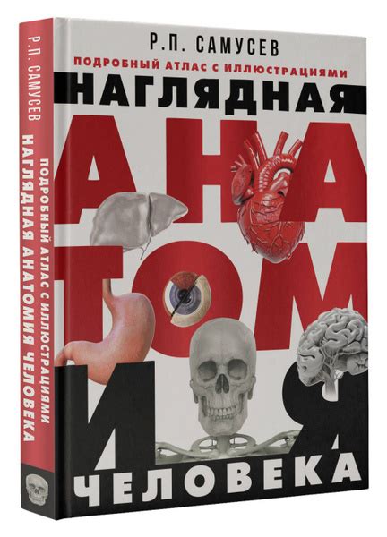 Наглядная анатомия человека. Подробный атлас с иллюстрациями | Самусев ...