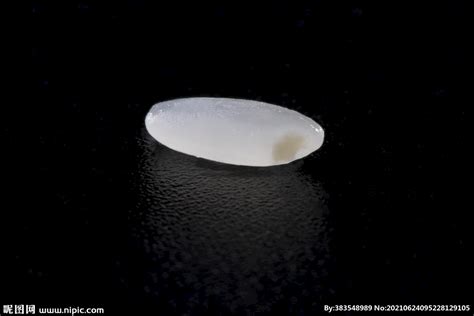 一粒大米粒特写摄影图传统美食餐饮美食摄影图库昵图网