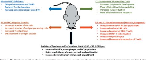 Figure 1 From The Development Of Next Generation Pbmc Humanized Mice