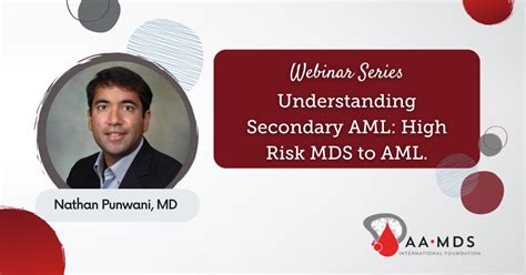 Understanding Secondary Aml High Risk Mds To Aml Aplastic Anemia And Mds International