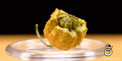 Official Pepper X Is The New Hottest Pepper In The World Heatsupply