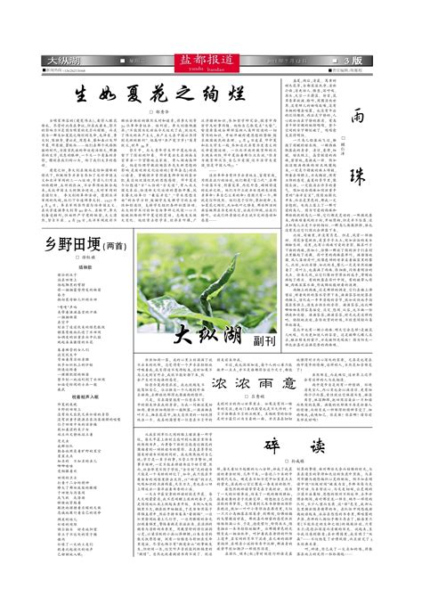 大纵湖 盐都日报