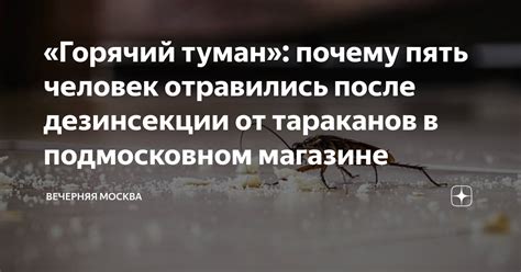 «Горячий туман»: почему пять человек отравились после дезинсекции от ...