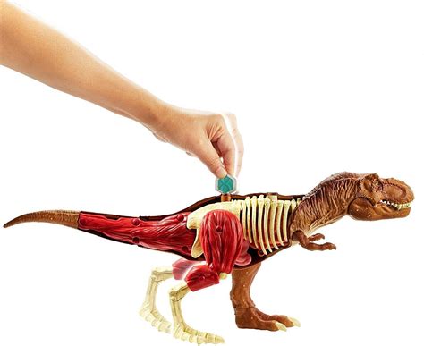 Mavin Jurassic World Stem T Rex Tyrannosaurus Rex Anatomy Kit Dinosaur