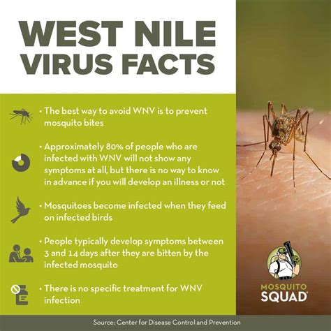 What Is West Nile Virus Prevention Symptoms And Treatment Hello