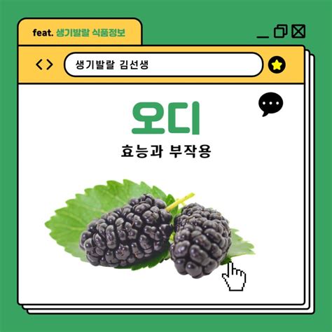 면역력 강화에 좋은 오디의 효능과 부작용 네이버 블로그