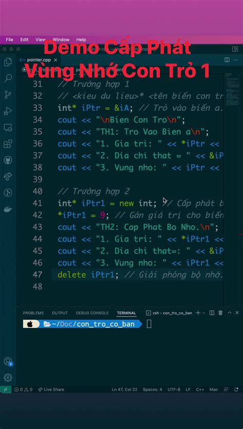 Lập Trình C Demo Cấp Phát Bộ Nhớ Con Trỏ Phần 1 Tuanit
