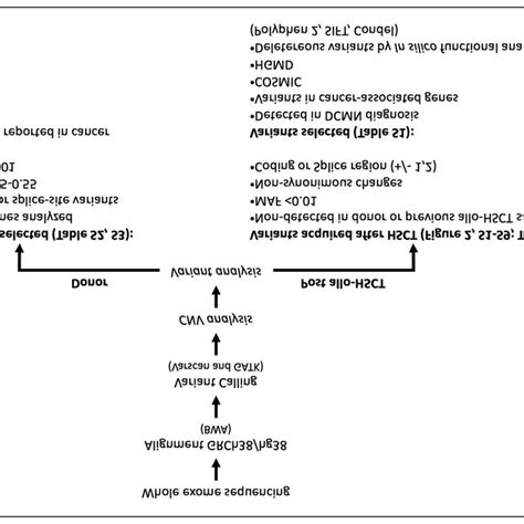 Flowchart Of Sequencing And Filtering Methods To Identify And Download Scientific Diagram
