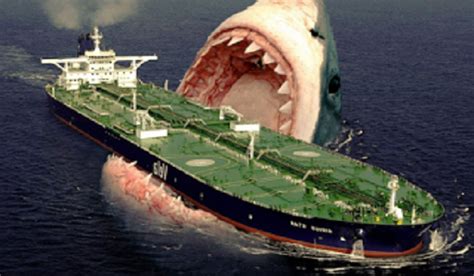 Hiu Megalodon Hiu Terbesar Yang Pernah Hidup Di Dunia Fana Trend