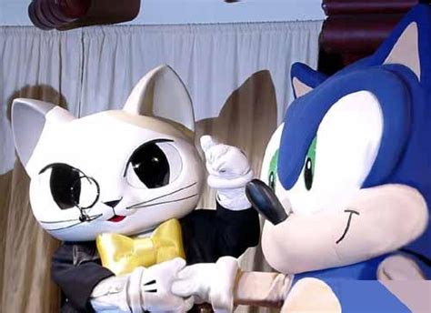 The Fursuit Archive Sonic21