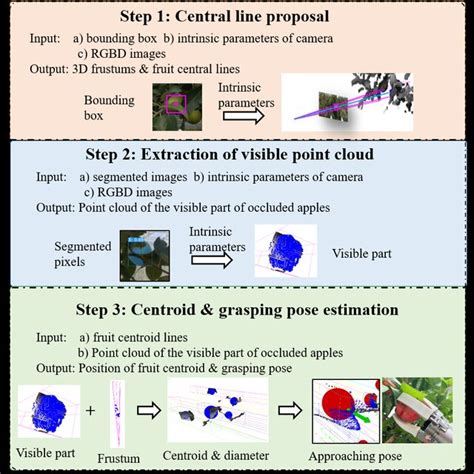 The Method For Occluded Fruits Localization And Pose Estimation With