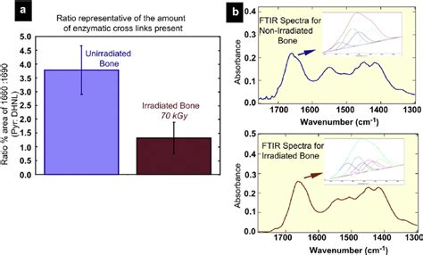 Fourier Transform Infrared Spectroscopy Of Human Cortical Bone In The