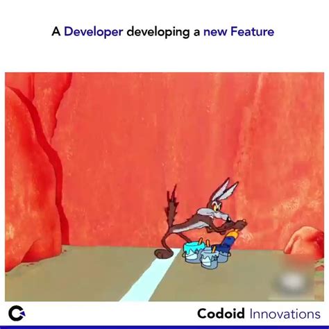 Praveen Kumar Baratam On Linkedin When A Developer Is Developing A New Feature😅😅😅
