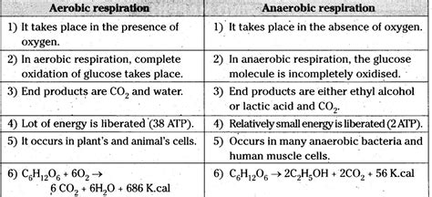 Differences Between Aerobic And Anaerobic Gestion Des Risques