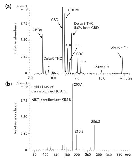 Give A Schematic Diagram Of Mass Spectrometer Circuit Diagram