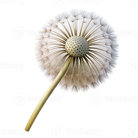 Impressive Ethereal Baroque Photorealistic Isolated Cutout Ultra