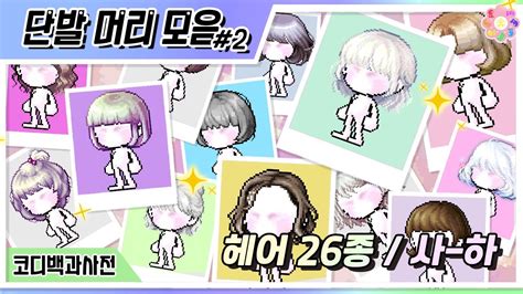 메이플 코디백과 단발 머리 모음 2 단발헤어 코디 And 믹염 프림로즈 해님 설아 코튼캔디 에반 새치미 치즈볼 등등 리듬탭 Youtube